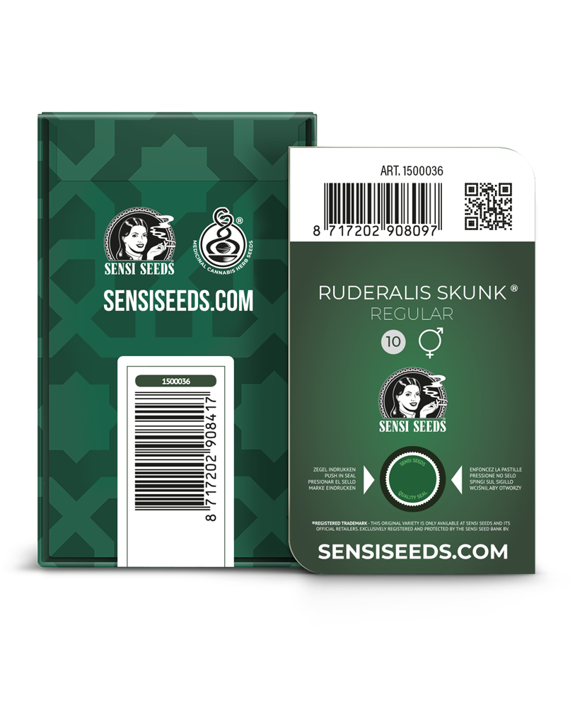 Ruderalis Skunk Reguläre Hanfsamen – Sensi Seeds