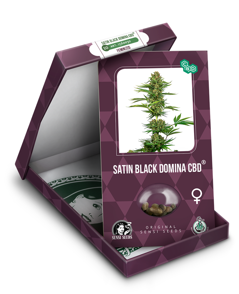 Satin Black Domina Cbd Gefeminiseerde Zaden Sensi Seeds